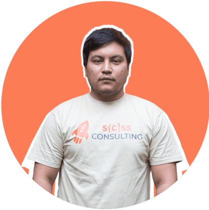 About Us | Custom Software Development Company | SCSS Consulting, Sydney